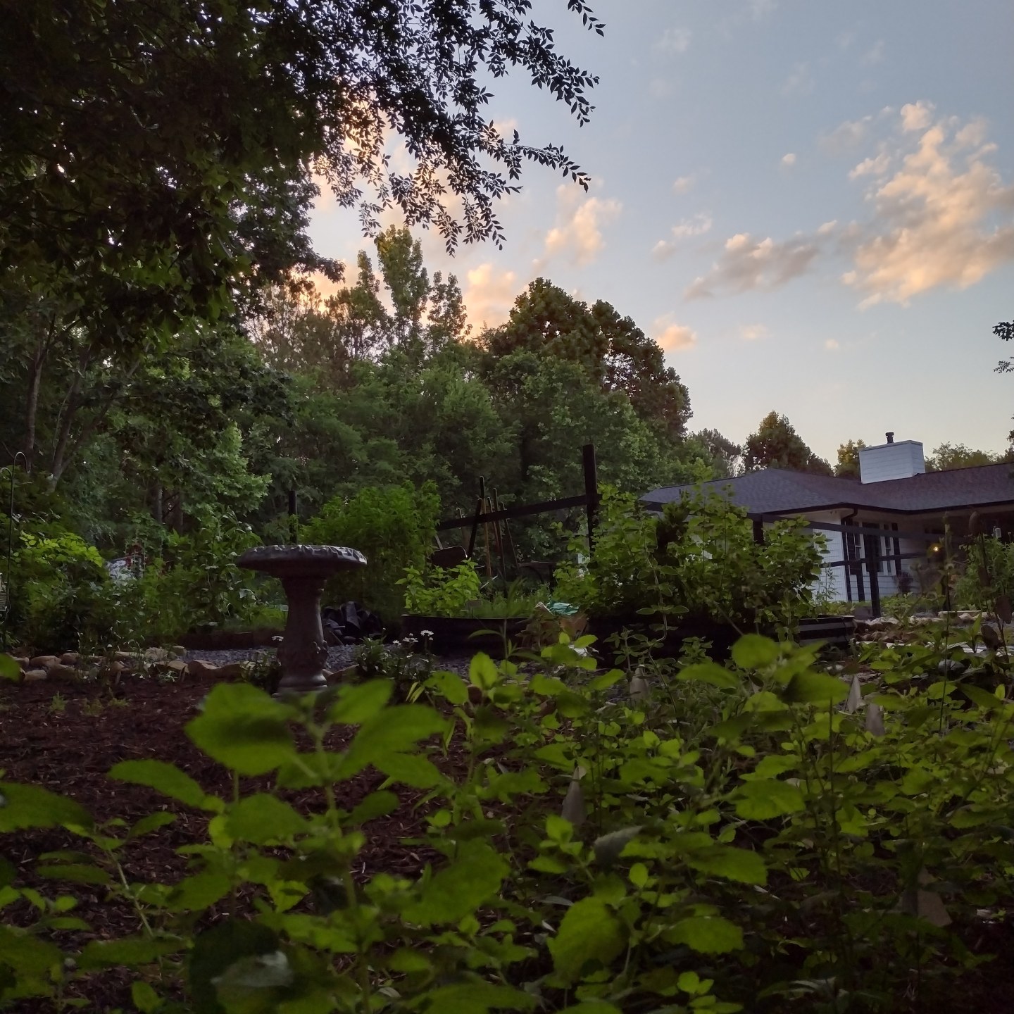 About – Nicole Crone